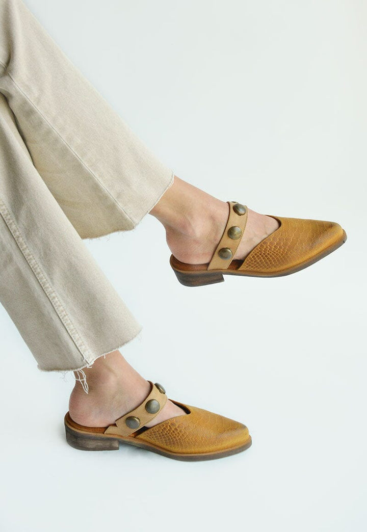 MID SEASON – Giani Dafirenze